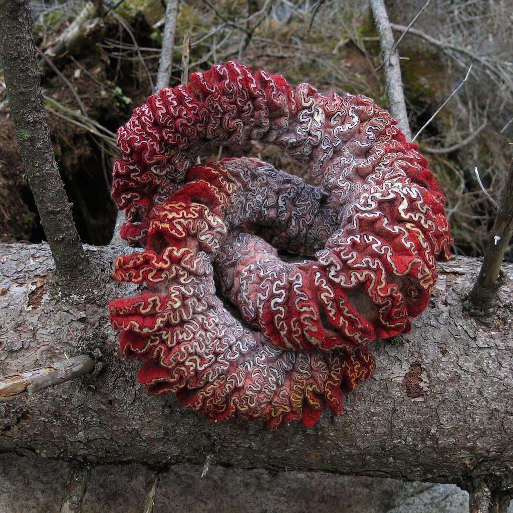 Discovery through felt 1 met Marjolein Dallinga | Hawar